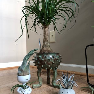 Large Serving Bowl With Doodle Design Turquoise and Black | Etsy