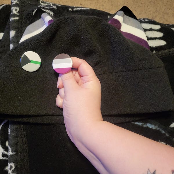 Acespec & Arospec Pride Flags 1.25 Inch Accessories - Pins, Magnets ...