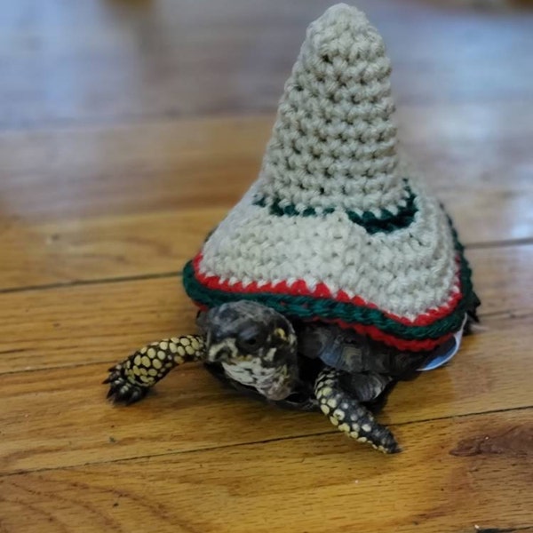 Mariachi Sombrero Turtle/tortoise Costume - Etsy