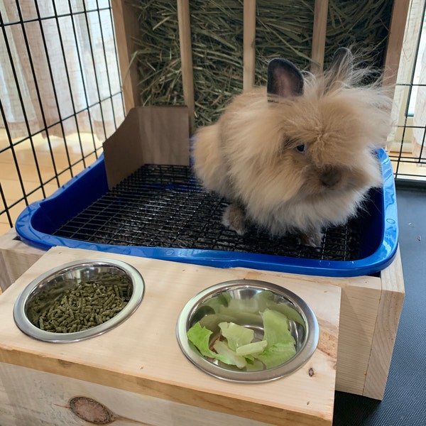 Rabbit Bunny Bowl Feeding Stand - Etsy