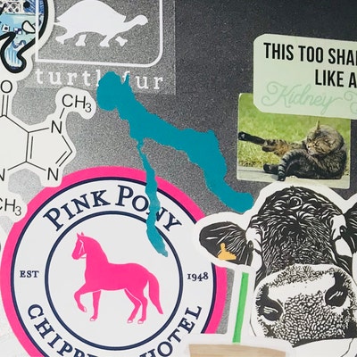 Lake Outline Decal Sticker Michigan Lake Charlevoix Lake Walloon ...