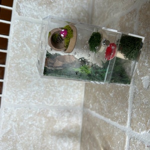 Mini Beach Scene in Clam Shell Mini Ocean Scene Sea Turtle - Etsy