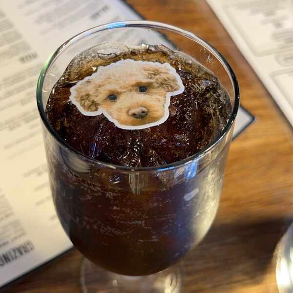 Pet Portrait Cut-out Wafer Drink Topper, Cocktail Topper, Custom Edible ...
