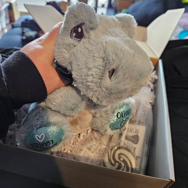 Ring Bearer T-rex Dinosaur Proposal Box, Flower Girl TREX Proposal ...