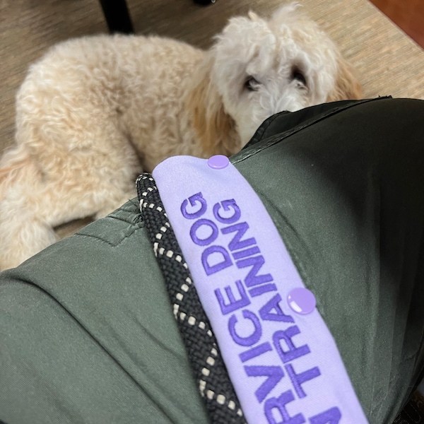Leash Sleeve or Collar Wrap, Your Text Here, Customizable, Custom ...