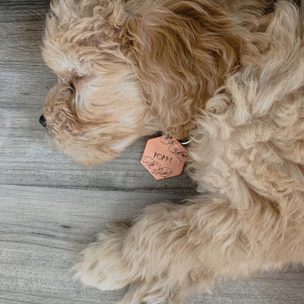 Poppies Dog Tag, Personalized Pet ID Tag / Dog Name Tag, Floral ...
