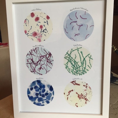 Bacteria Science Art Poster Science Print Wall Decor, Microbiology ...
