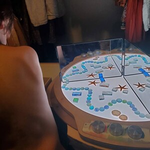 Animal Classification Sorting Set, Montessori Object Classification ...