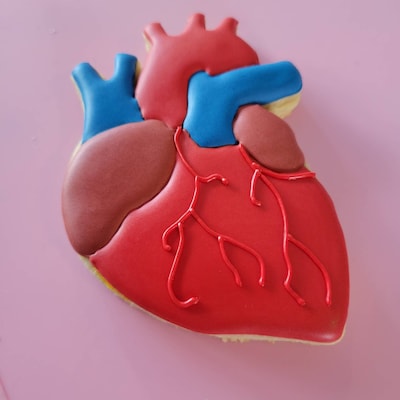 Uterus Cookie Cutter and Fondant Cutter and Clay Cutter - Etsy