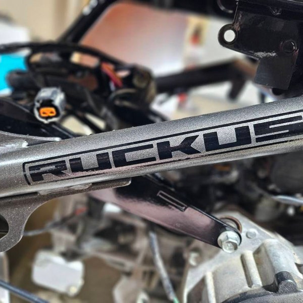 Ruckus Logo Vinyl Decal Car Window Bumper Sticker (2x) Select Color ...