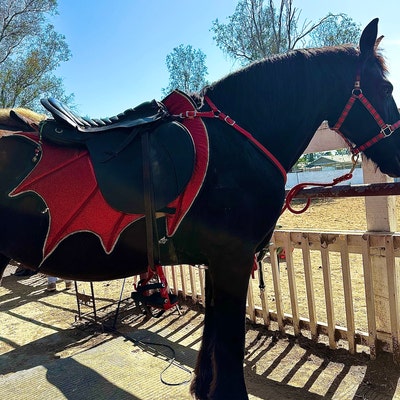 Animals Themed Saddle Pad Sets Cow Giraffe Zebra Bat Print - Etsy