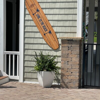 SURFBOARD Wall Art Beach House Decoration Shark Decor Surf Beach Decor ...
