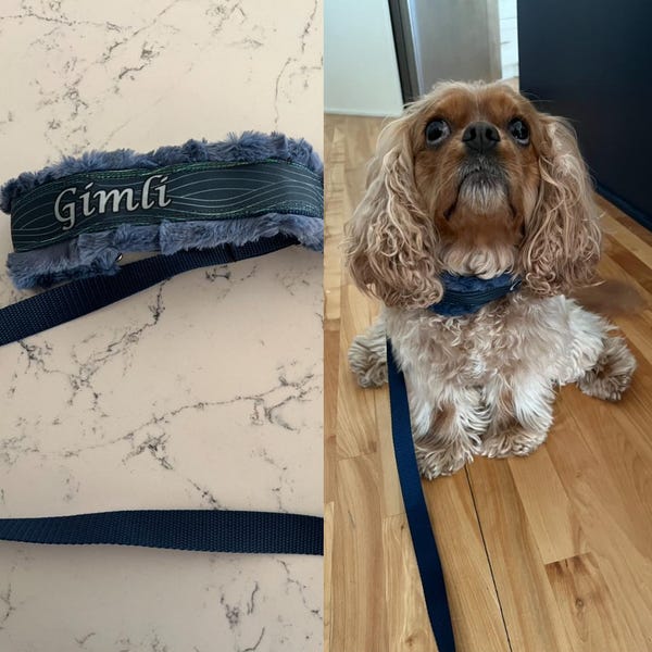 Custom Ribbon Display, Dog Award Ribbon Display Rack, Dog Rosette ...