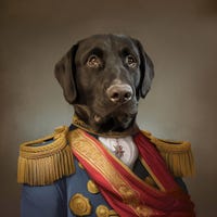 Custom Regal Pet Portrait, Royal Dog Painting, Pet Portrait, Royal Dog ...