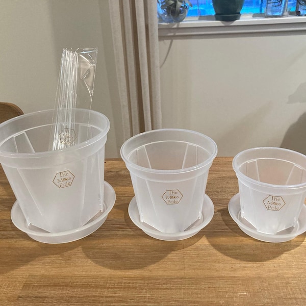 Small Clear Square Nursery and Seedling Pot Container Study Clear ...