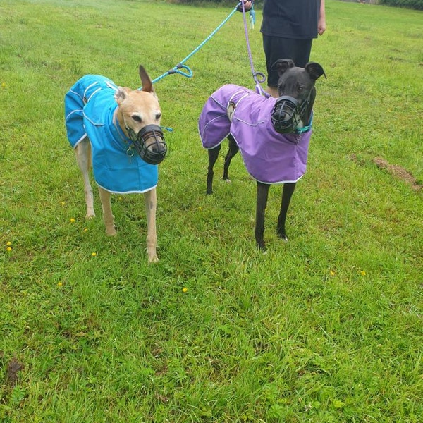 Greyhound, Lurcher & Whippet Lightweight Waterproof Rain Mac/rain ...