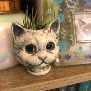 Pixie Head Planter - Etsy