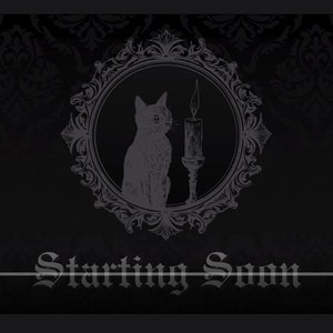 PNGTUBER PACKAGE - Gamer Girl | Twitch | Reactive | Vtuber | Overlays ...