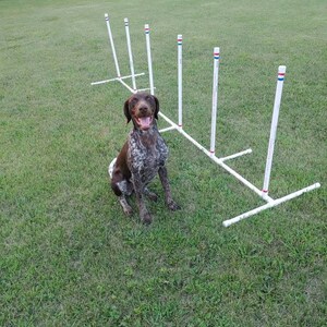 Dog Agility Training Wing Jump Squared Style FREE US Shipping - Etsy