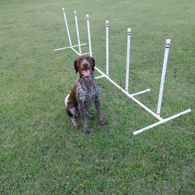 Dog Agility Equipment Construction Instruction Booklet - Etsy