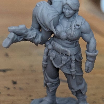 Female Elf / Drow Gladiator / Rogue 3d Printed Model by 3dartguy - Etsy UK