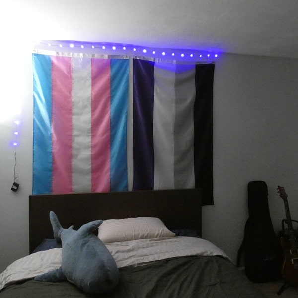 Transgender Pride Flag, Hand-sewn Trans Pride Flag, Custom Sizes ...