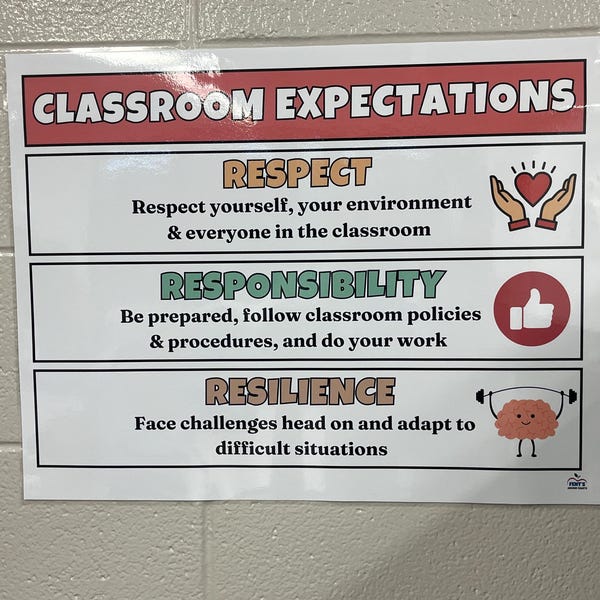 Three Branches of Government Anchor Chart, Separation of Powers ...