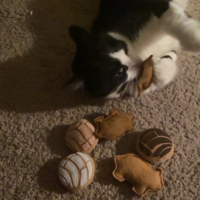 Concha Bread Cat Toys Organic Catnip Toys, Pan Dulce Concha Catnip Cat ...