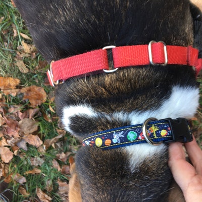 Chili Peppers Ribbon Dog Collar - Etsy