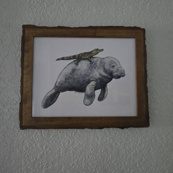 Signed Art Print: "florida Hitchhike" Alligator Riding on the Back of A ...