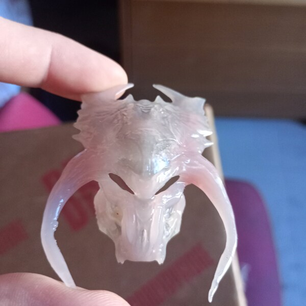 Custom Echo Predator Mask for 1/4 Neca Jungle Hunter/warrior Predators ...