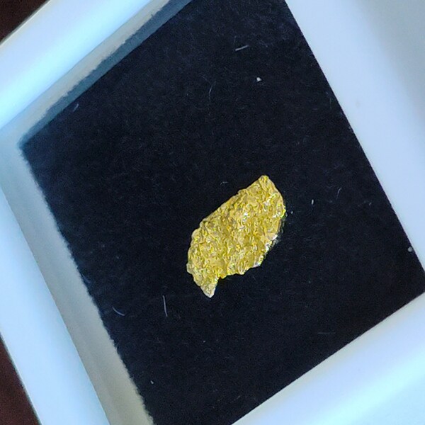 Natural California Gold Nugget / Micro Size 0.823 Grams / Gold Crystal ...