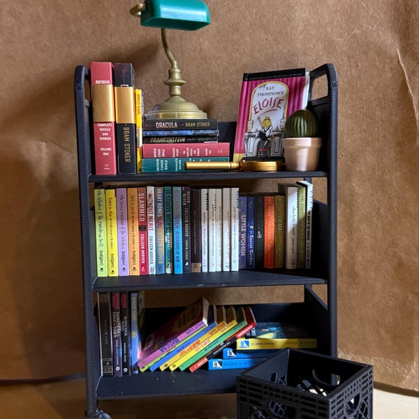 1/6 Scale 3 Shelf Mini Library Cart/ Mini Brands Books / Mini Books ...