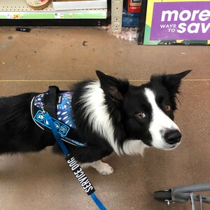 2x4 STOP No Touch No Talk Let Me Work Patch | Etsy