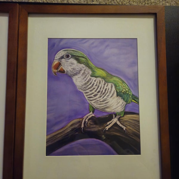 Fancy Green Cheeked Conure Original Painting-pet Parrot Portrait- Hand ...