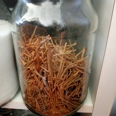 Atibala Root Indian Mallow Abutilon Indicum Root Kangi Root Atibala ...