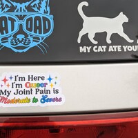 Symptom Journal Tester - Etsy