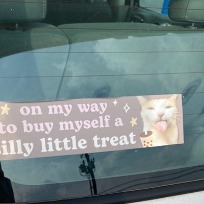 This is Who You're Honking at Cat Meme Car Bumper Sticker Funny Cute ...