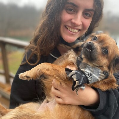 Personalized Pet Charm, Personalized Dog Charm, Personalized Pet Collar ...