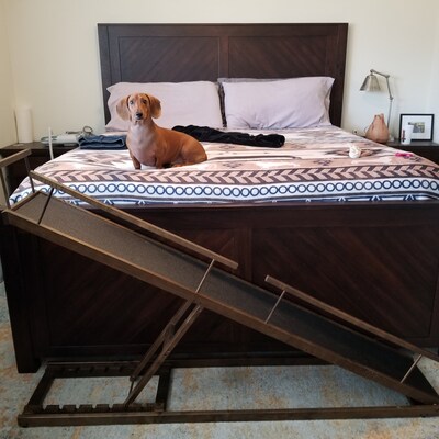 Doggoramps Small Dog Ramp for Bed including Tall Beds - Etsy
