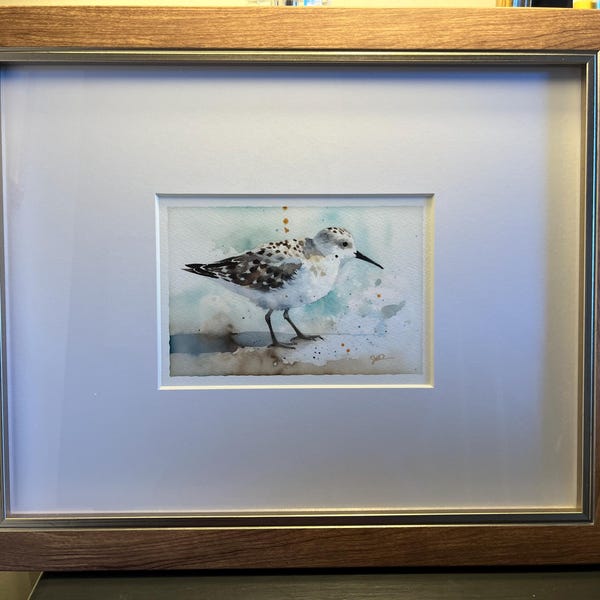 Sandpiper Art Watercolor Print Western Sandpiper Painting Giclee Bird ...
