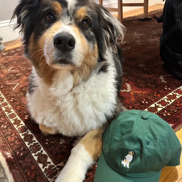 Embroidered Hat for Australian Shepherd Mom / Dad Style Cap With ...