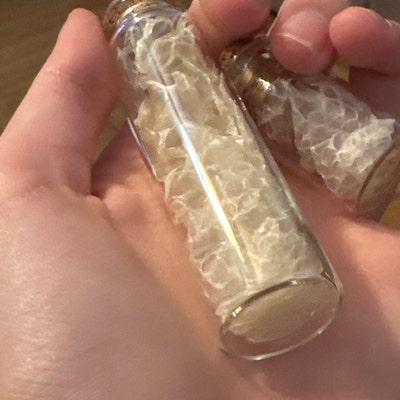 Pet Rats Silicone Squishy Lot of 4 WAVE 1 - Etsy