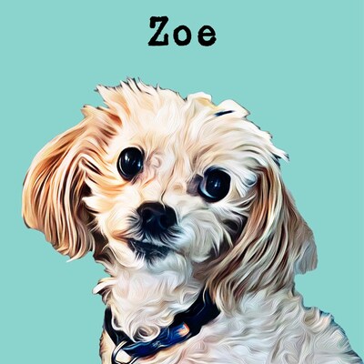 Boy First Day of Kindergarten Sign Printable Instant Download Boys ...