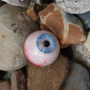 Complete Round Realistic Human Eyeball, Available in 6 Different Colors ...