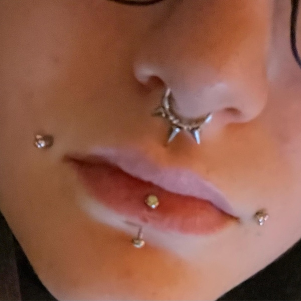 Large Spike Bridge Piercing, 14g Internally Threaded Straight Barbell ...