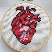 Holy Bum Flaps Cross Stitch Kit - Etsy UK