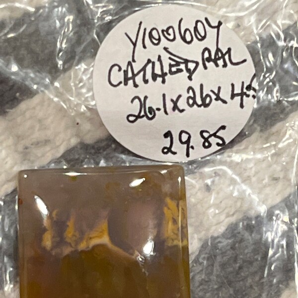 Stromatolite Collenia Undosa Fossil Proterozoic 2.1 B.y.o. 6.715cts ...