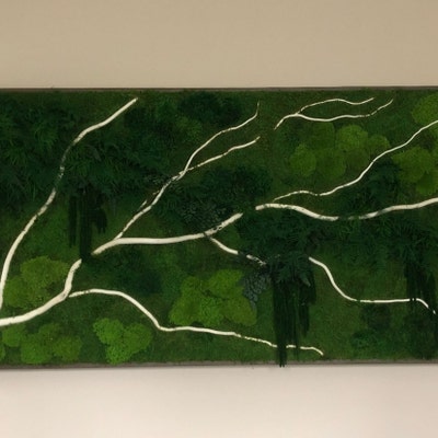 Artisan Moss® Moss & Ferns VERY LARGE Statement Piece 68 X 33 Plant ...