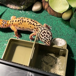 3.0 Geckopia Triple Dish Leopard Gecko Dish Reptile Dish Gecko Dish ...